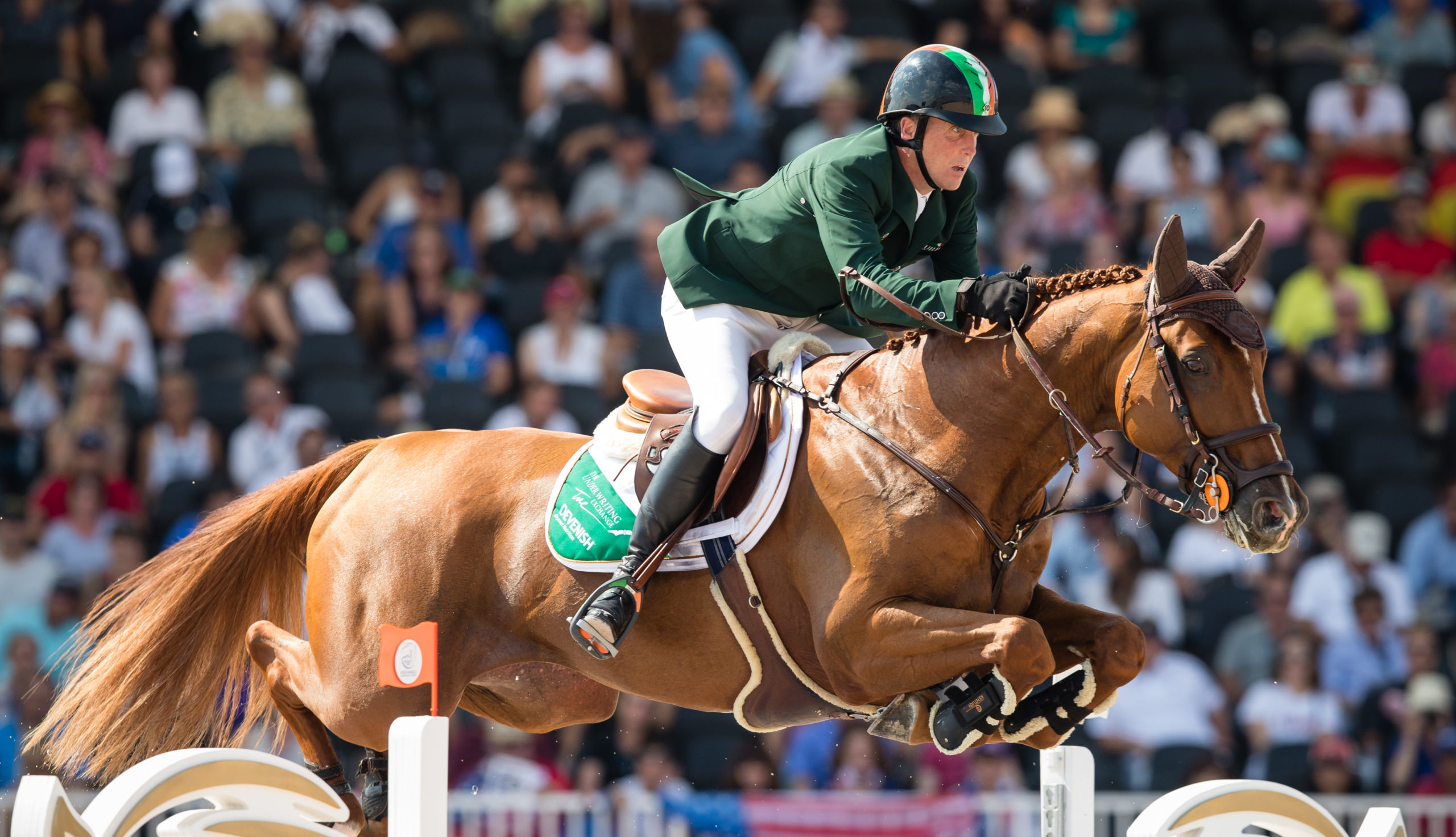 Shane Breen | Flex-on® Equestrian equipment